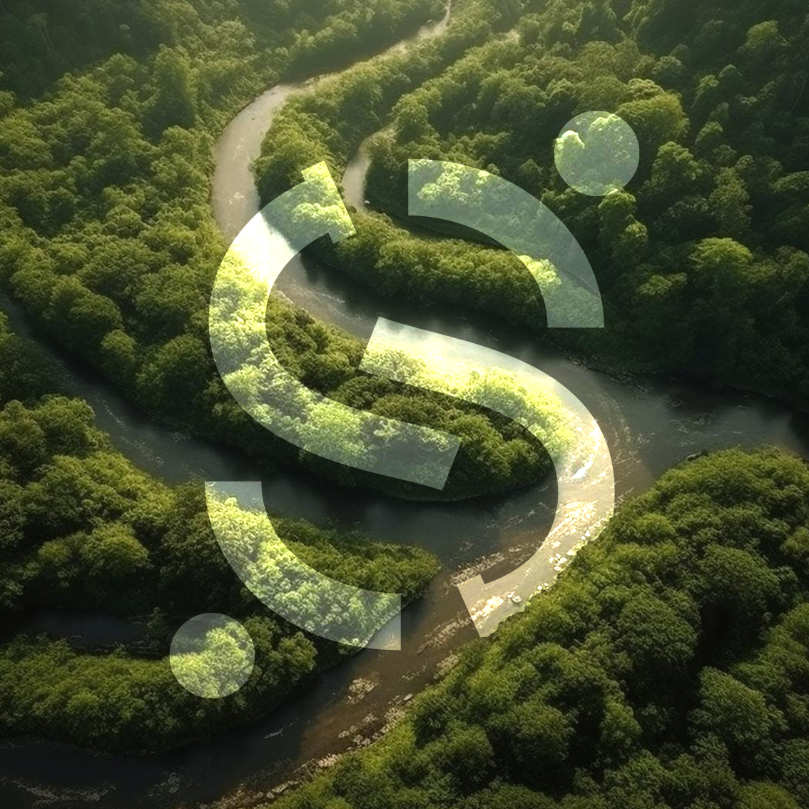 SIDERM - Julien Mille